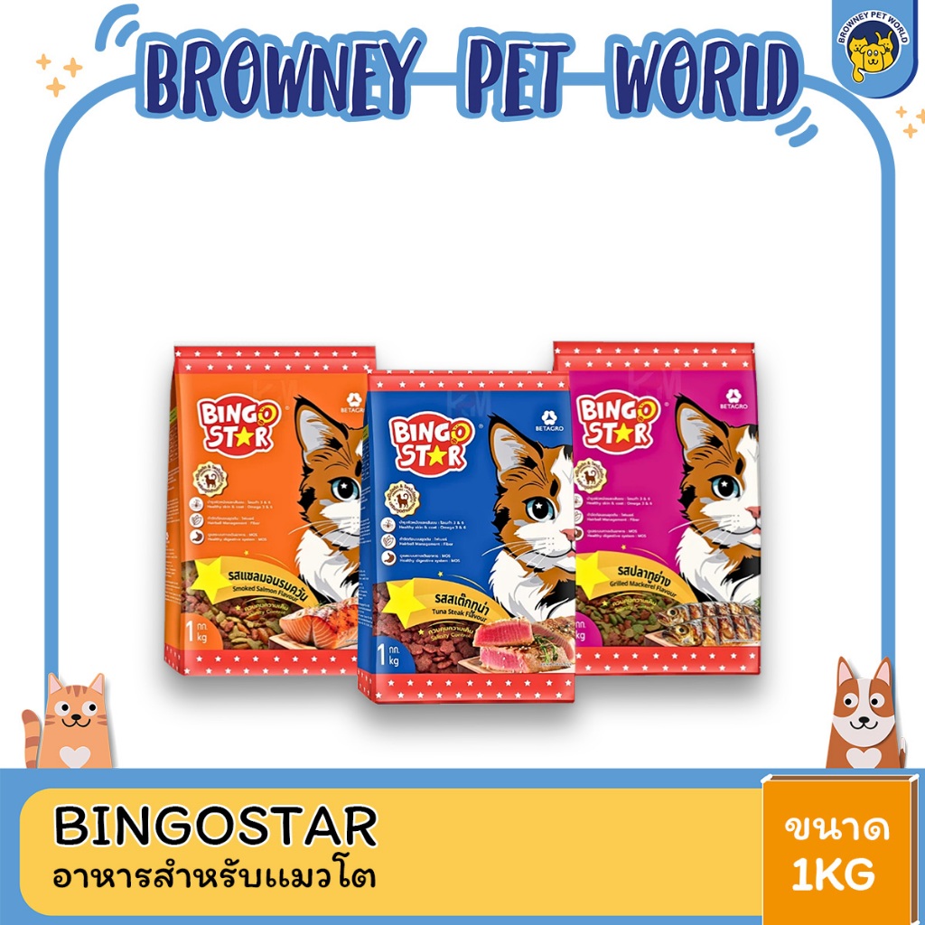 Bingo Star Cat บิงโกสตาร์ อาหารเม็ดสำหรับแมว ขนาด 1kg | Shopee Thailand