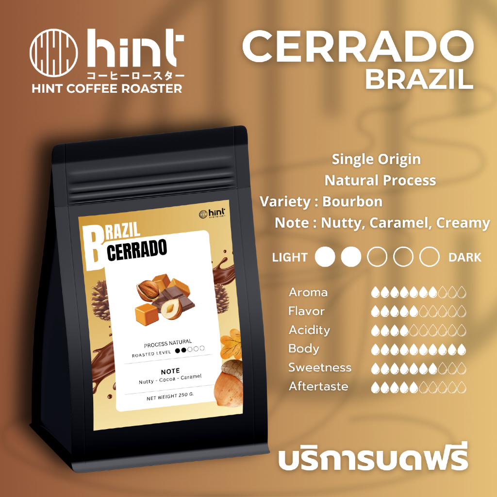 Hint Coffee Roaster เมล็ดกาแฟคั่ว Brazil Cerrado คั่วกลาง (Medium Roast ...