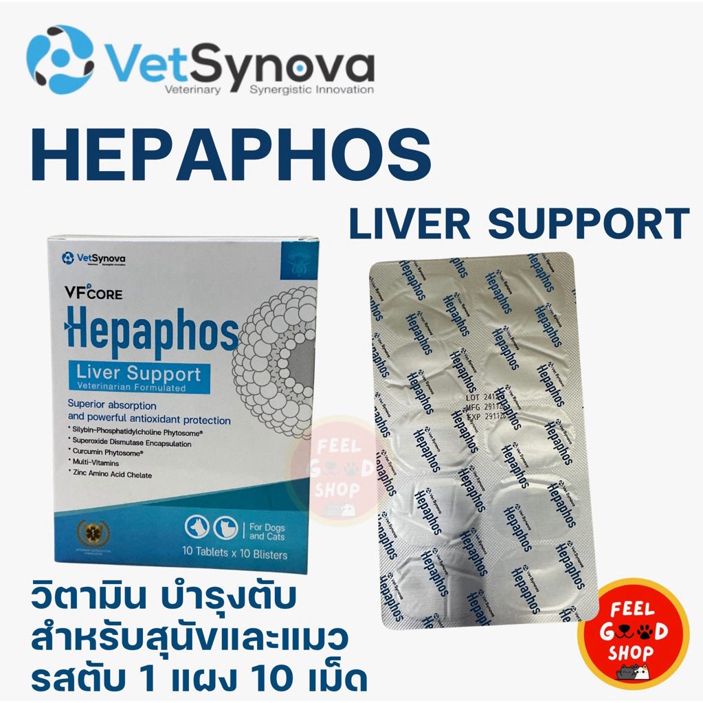 (( แบ่งขาย แผงละ10เม็ด รสตับ )) Hepaphos Liver support หมดอายุ 29/11 ...