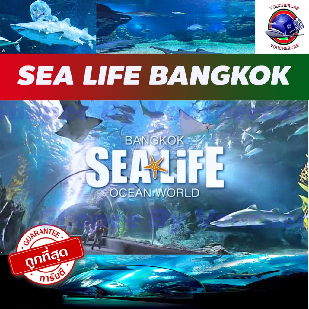 ราคาถูกสุด บัตร Sea Life Bankok Ocean World บัตรเข้าชม สยามพารากอน (ส่ง ...