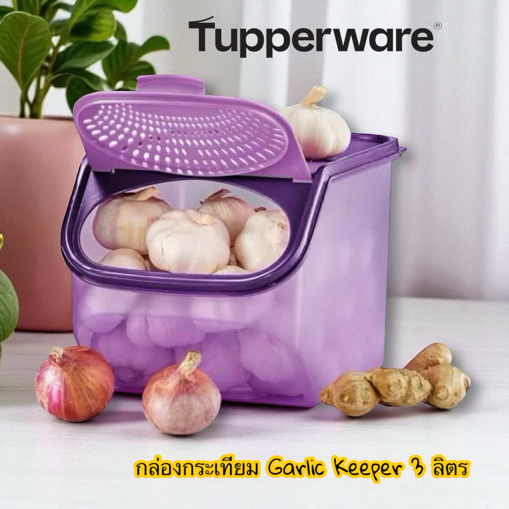 Tupperware ทัพเพอร์แวร์ รุ่น กล่องกระเทียม Garlic Keeper | Shopee Thailand