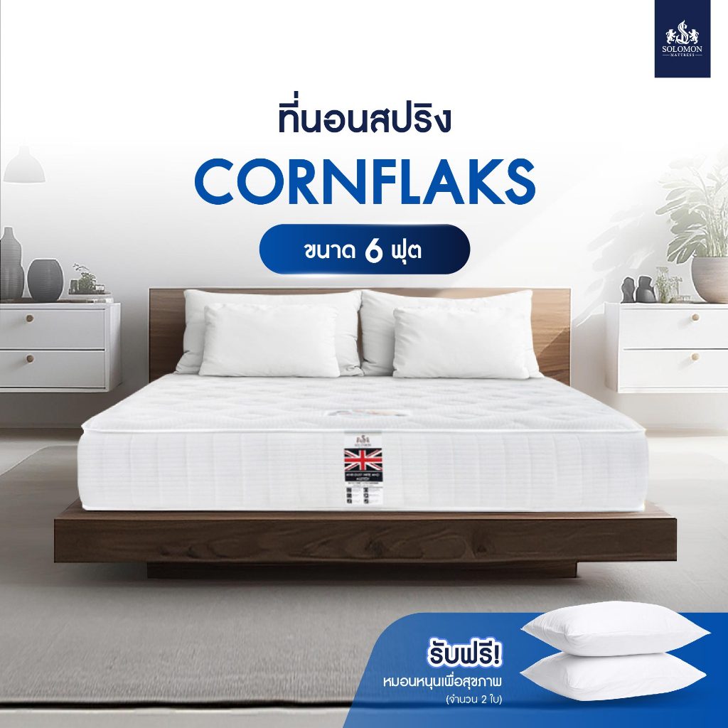 SOLOMON ที่นอนสปริง ขนาด6ฟุต หนา9นิ้ว รุ่น Cornflaks แถมหมอนหนุนเกรดโรงแรม | Shopee Thailand