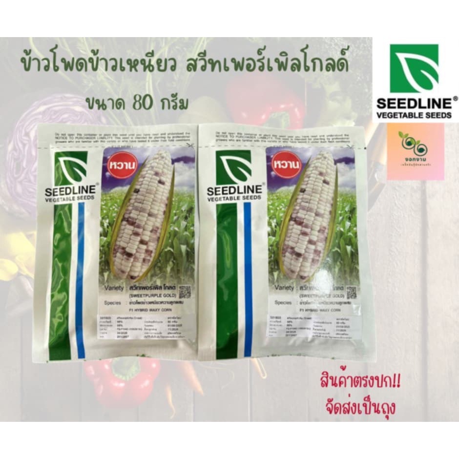 เมล็ดข้าวโพดข้าวเหนียว สวีทเพอร์เพิล โกลด์ ขนาด 80 กรัม SEEDLINE ...