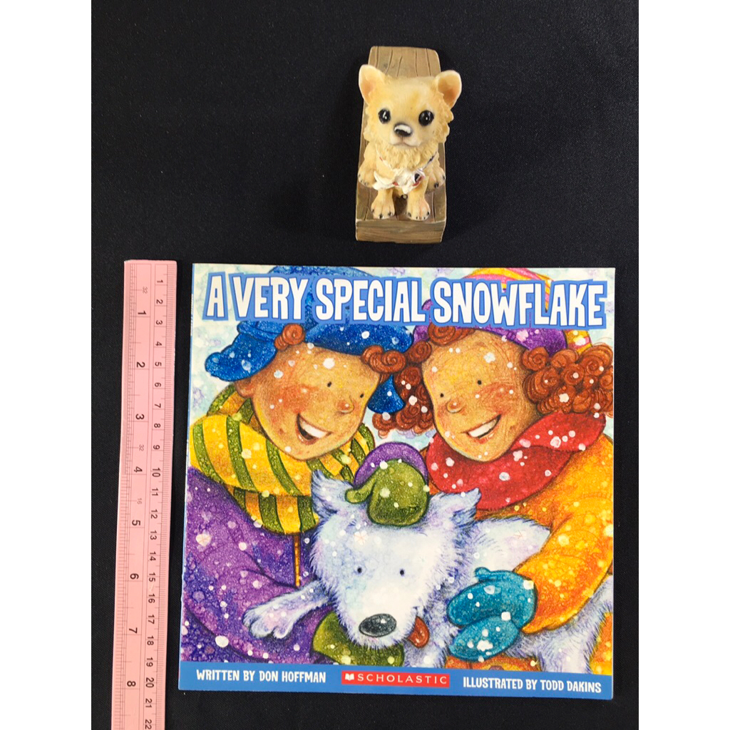 A Very Special Snowflake By Don Hoffman หนังสือเด็กภาษาอังกฤษปกอ่อน ...