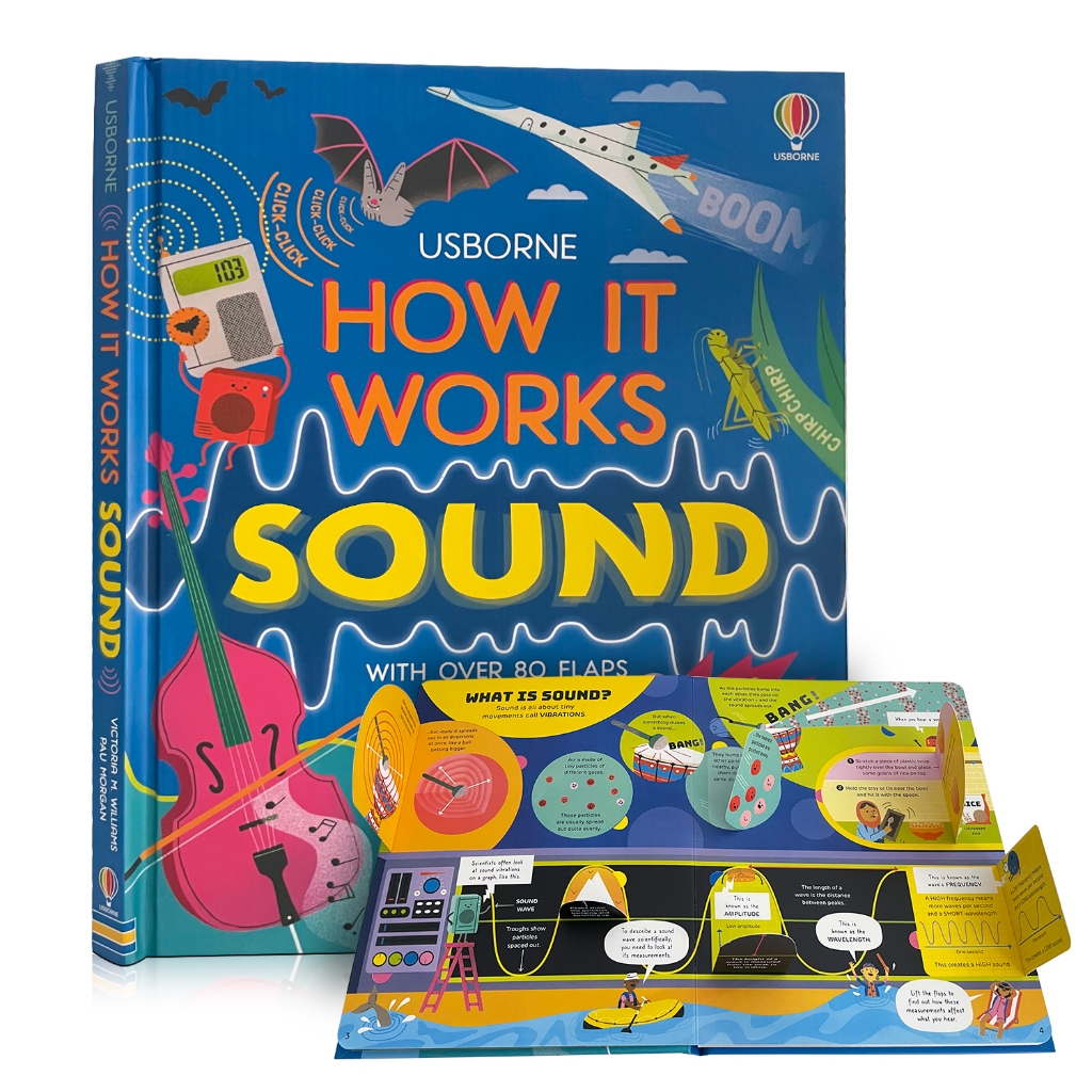 Usborne How It Works Sound 3D Flap Picture Books for Kids Science ...