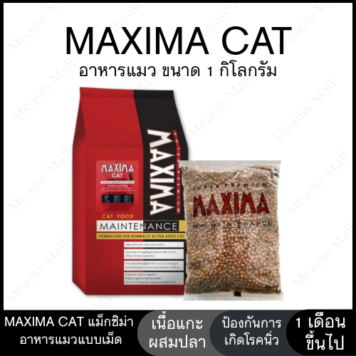 🔥พร้อมส่ง🔥 Maxima Cat อาหารแมวชนิดเม็ด 1 กิโลกรัม อาหารแมวเกรดพรีเมี่ยม ...