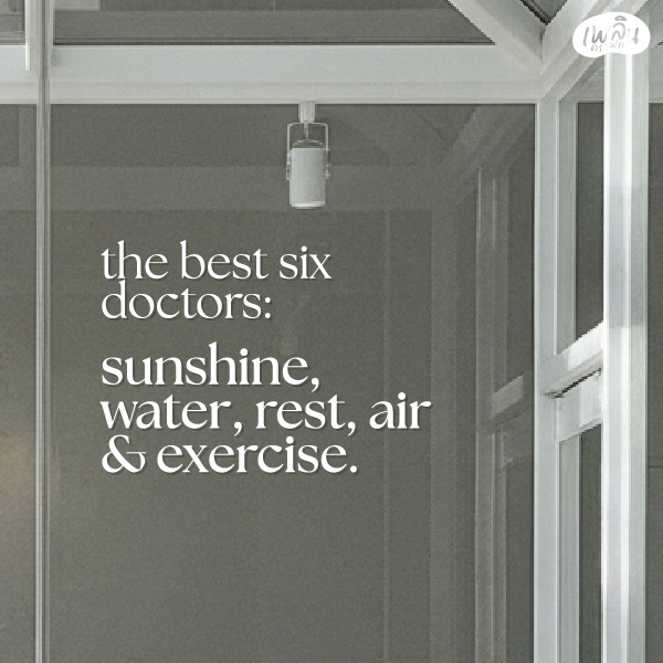 TXT-QU-033 The Best Six Doctors สติ๊กเกอร์ติดกระจก สติ๊กเกอร์คำคม | Shopee Thailand