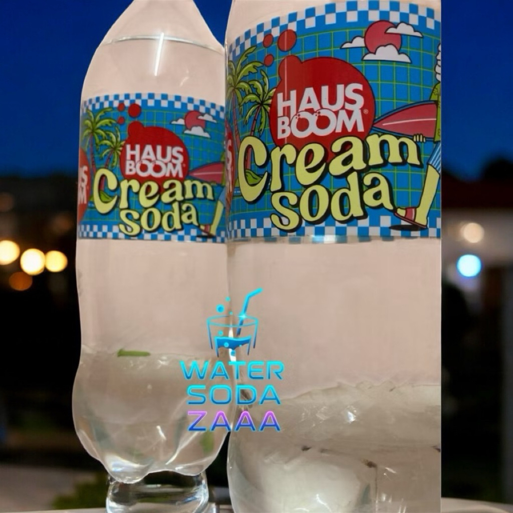 HAUS BOOM Ice Cream Soda สินค้าส่งในไทย | Shopee Thailand