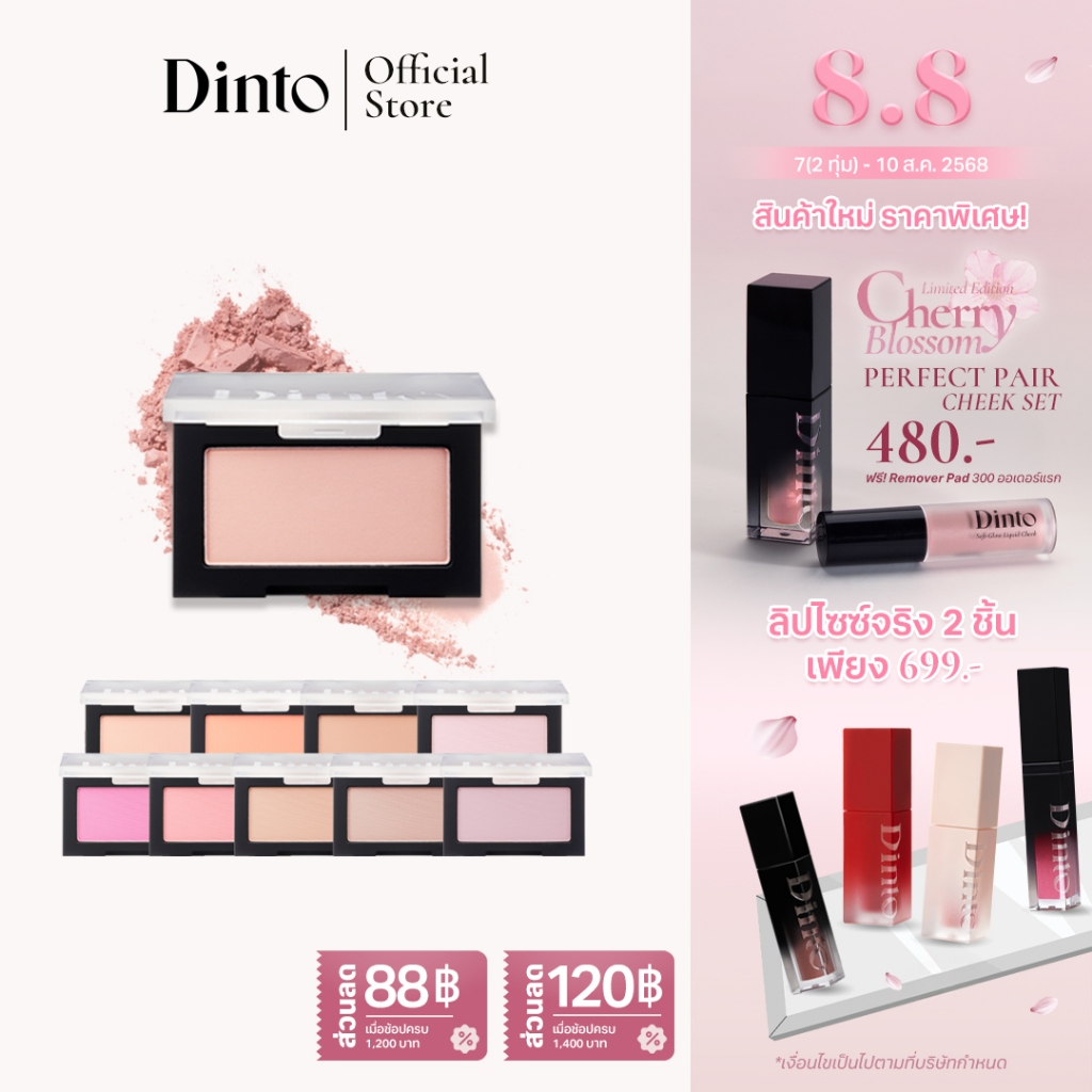 Dinto : Blur-Finish All That Moment Blusher บลัชเบลอผิว [Official Store] | Shopee Thailand