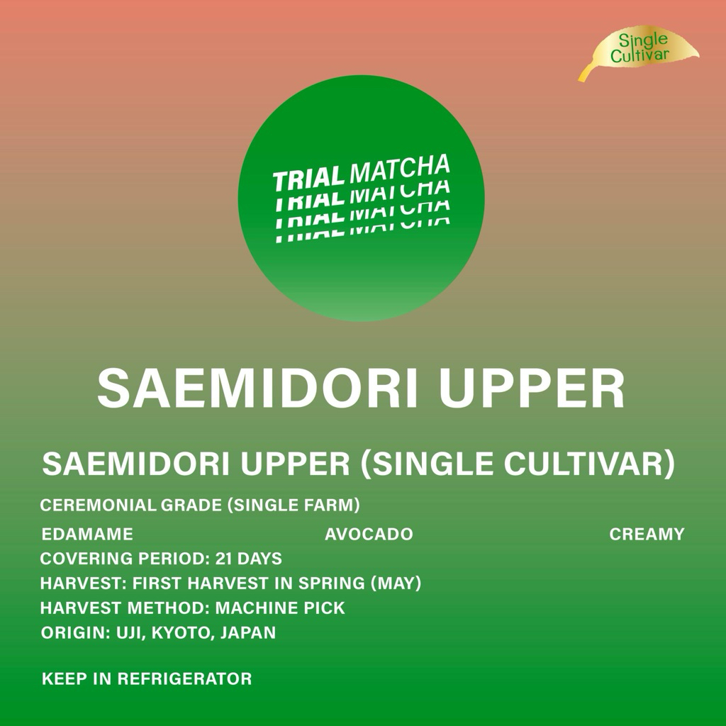 TRIAL MATCHA | ผงมัทฉะอุจิสายพันธุ์เดี่ยว Saemidori Upper Single ...
