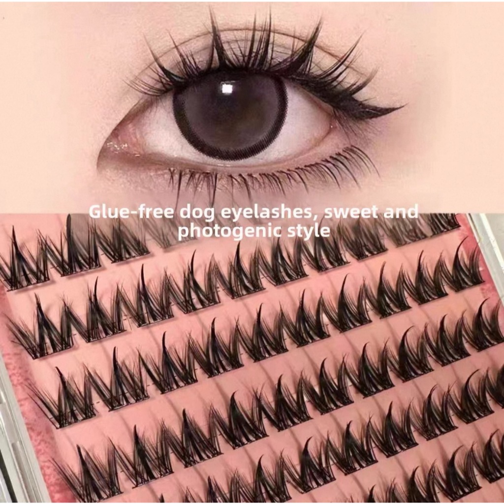 Dog False Eyelashes ขนตาปลอมต้องติดกาวเพิ่ม ติดแน่น 30 ช่อ ความยาว 12 ...