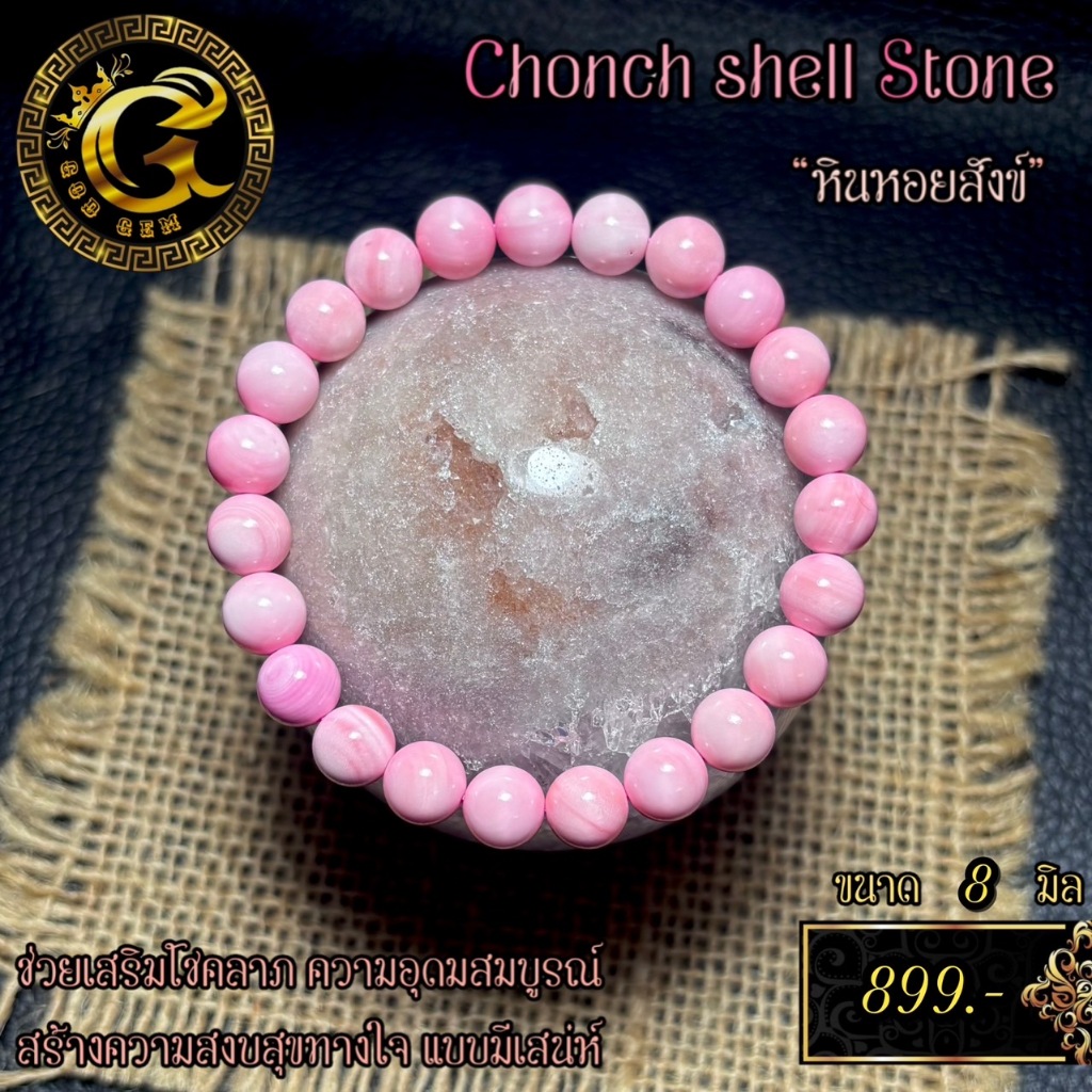 หินหอยสังข์ "Chonch shell Stone" | Shopee Thailand
