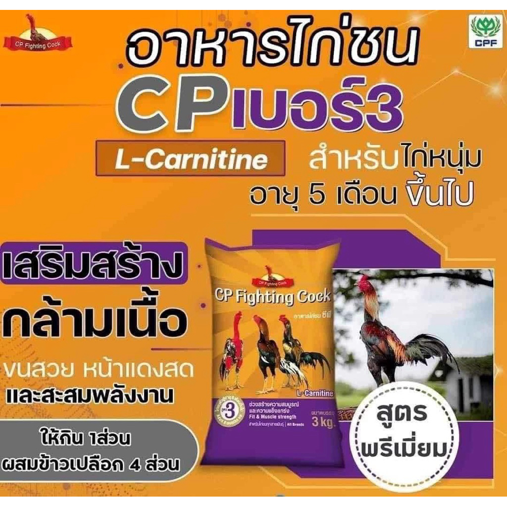 อาหารไก่ชนพรีเมี่ยม(CP)ขนาด3kg. | Shopee Thailand
