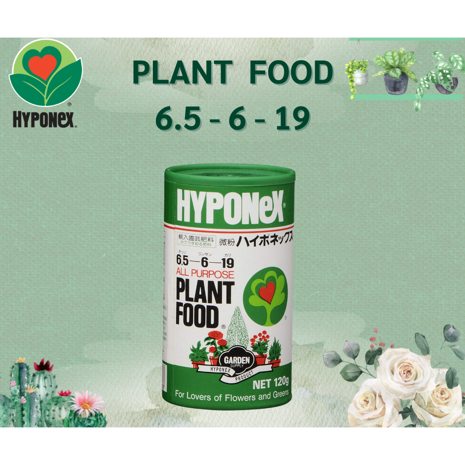 Hyponex Plant Food Powder 6.5-6-19 ปุ๋ยเทพสุดของค่ายHyponex ขนาด 120g ...