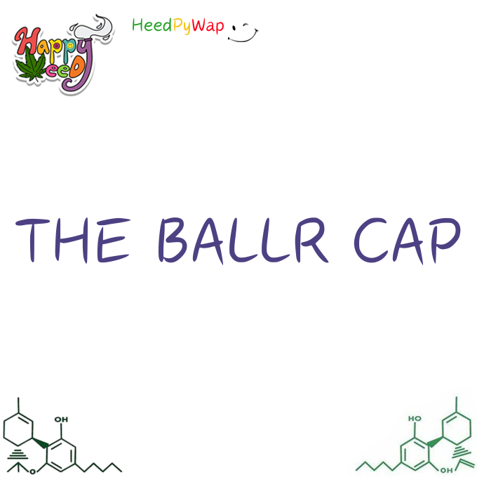The BallR Cap ฝา ผลิตจากสแตนเลส | Shopee Thailand
