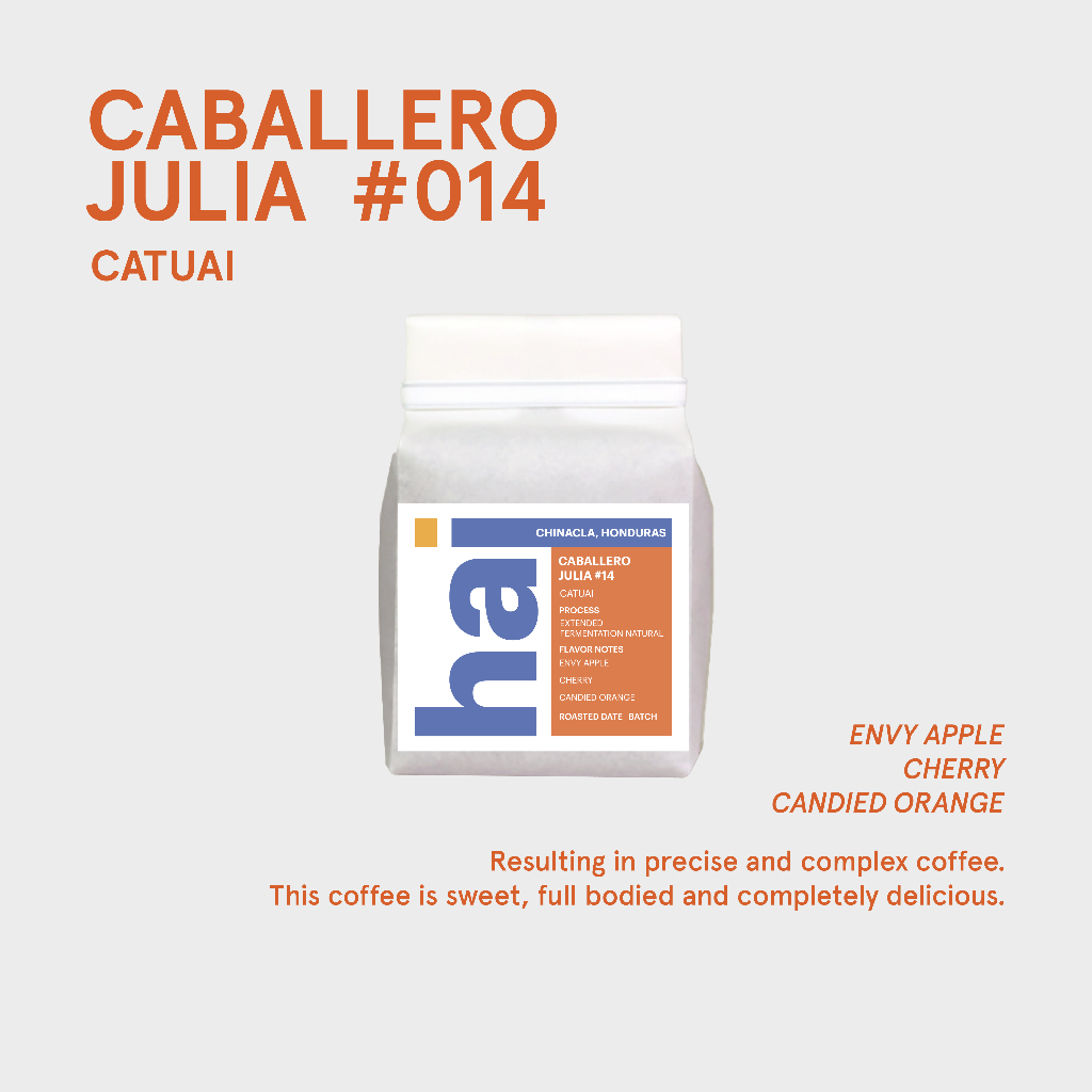 Hai single origin (กาแฟคั่วอ่อน) Caballero Julia #14,Honduras (Light ...