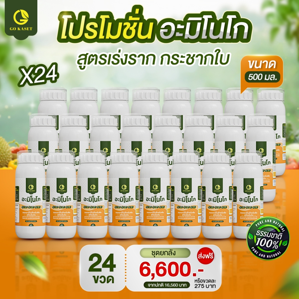 [24ขวด] อะมิโนโก(ขวดเล็ก) 500 ML - AMINO GO กรดอะมิโนสำคัญต่อพืช19ชนิด ...