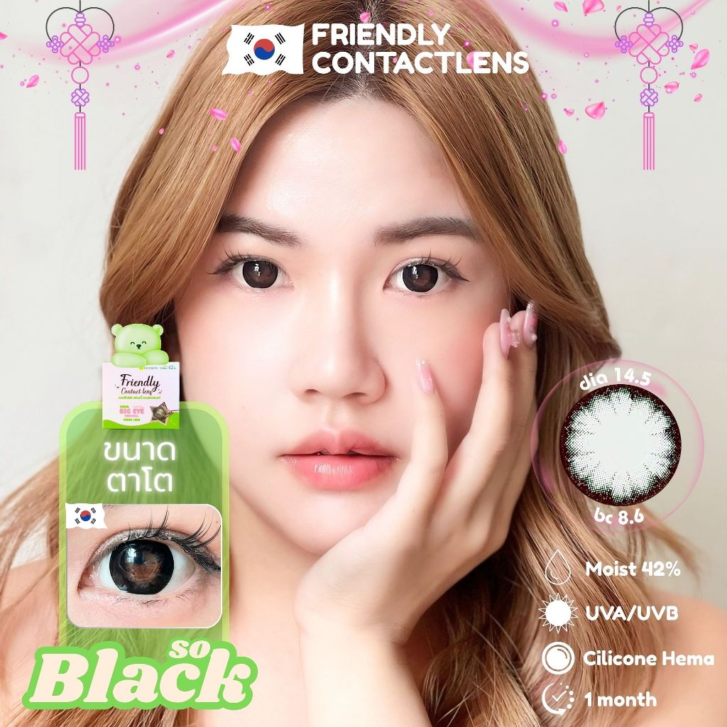 Friendly คอนแทคเลนส์ รุ่น So Black กล่องเขียว DIA 14.5 mm ขนาดตาโต {ค่า ...