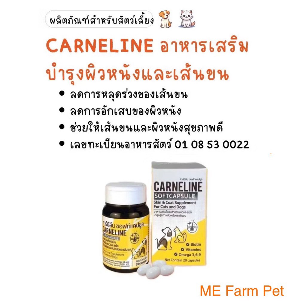 CARNELINE SOFTCAPSULE วิตามินบำรุงผิวหนังและเส้นขนสำหรับสุนัข-แมว ชนิด ...