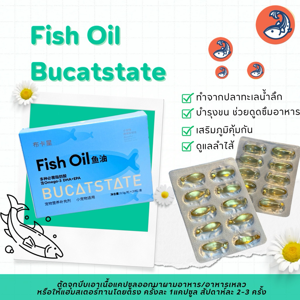 Yee / BUCATSTATE วิตามินสำหรับสัตว์เลี้ยงขนาดเล็ก | Shopee Thailand