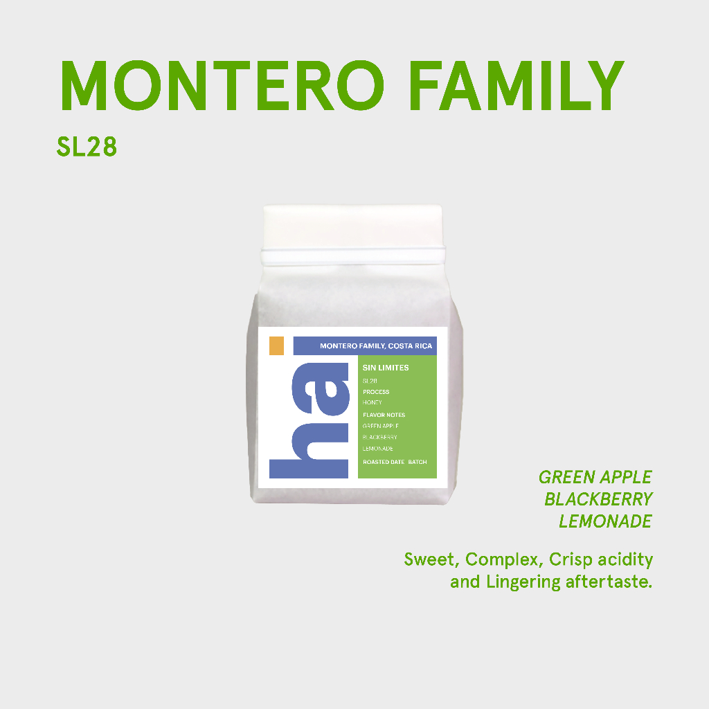 Hai single origin (กาแฟคั่วอ่อน) Sin Limites, Montero family, Costa ...