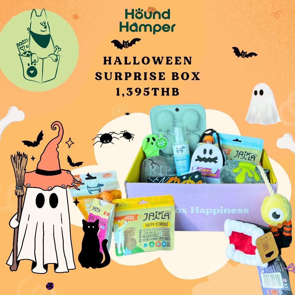 Halloween Surprise Box กล่องของขวัญ กล่องสุ่มให้น้องหมา กล่องใส่ขนม ...