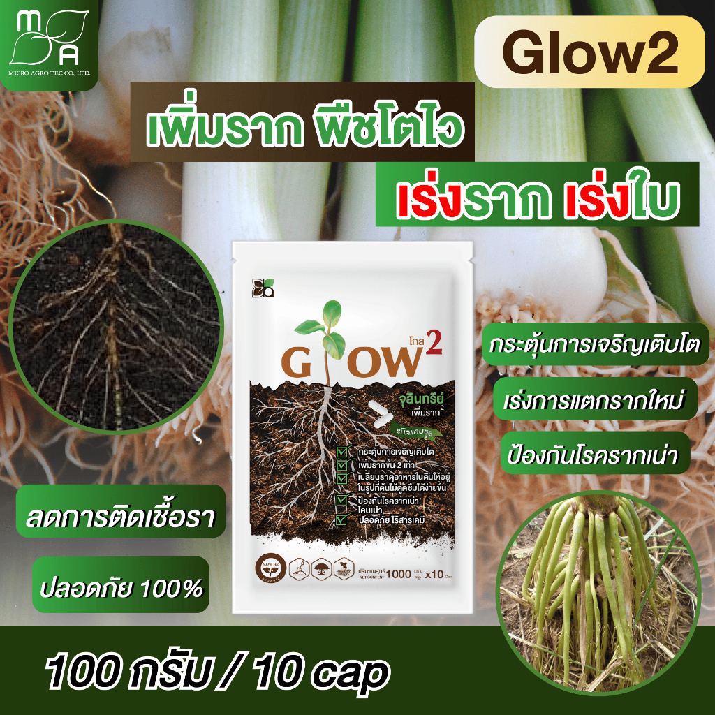 ยาเร่งราก โกลว2 Glow2 จุลินทรีย์เร่งราก เร่งใบ กระตุ้นการแตกใบอ่อน ตัว ...