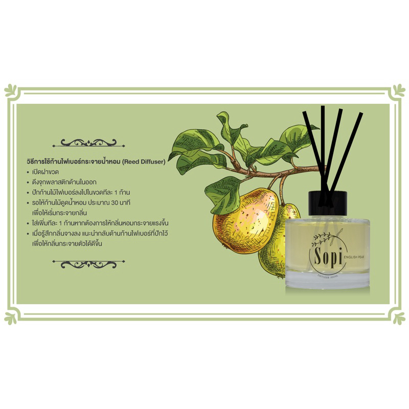 English Pear Reed Diffuser by Sopi 100ml ก้านไม้หอมปรับอากาศ Sopi กลิ่น ...