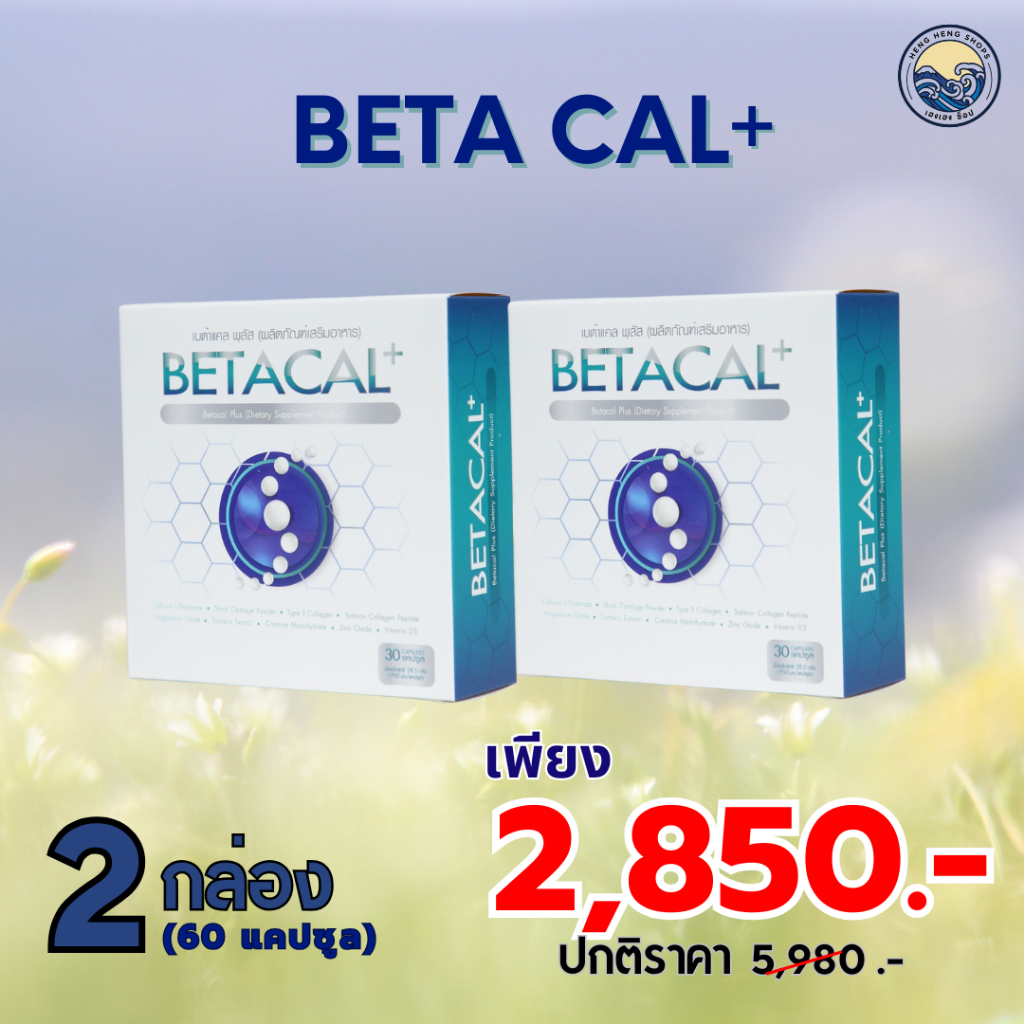 เบต้าแคลพลัส BETACAL PLUS กล่องใหญ่ 2 กล่อง (60 แคปซูล) | Shopee Thailand