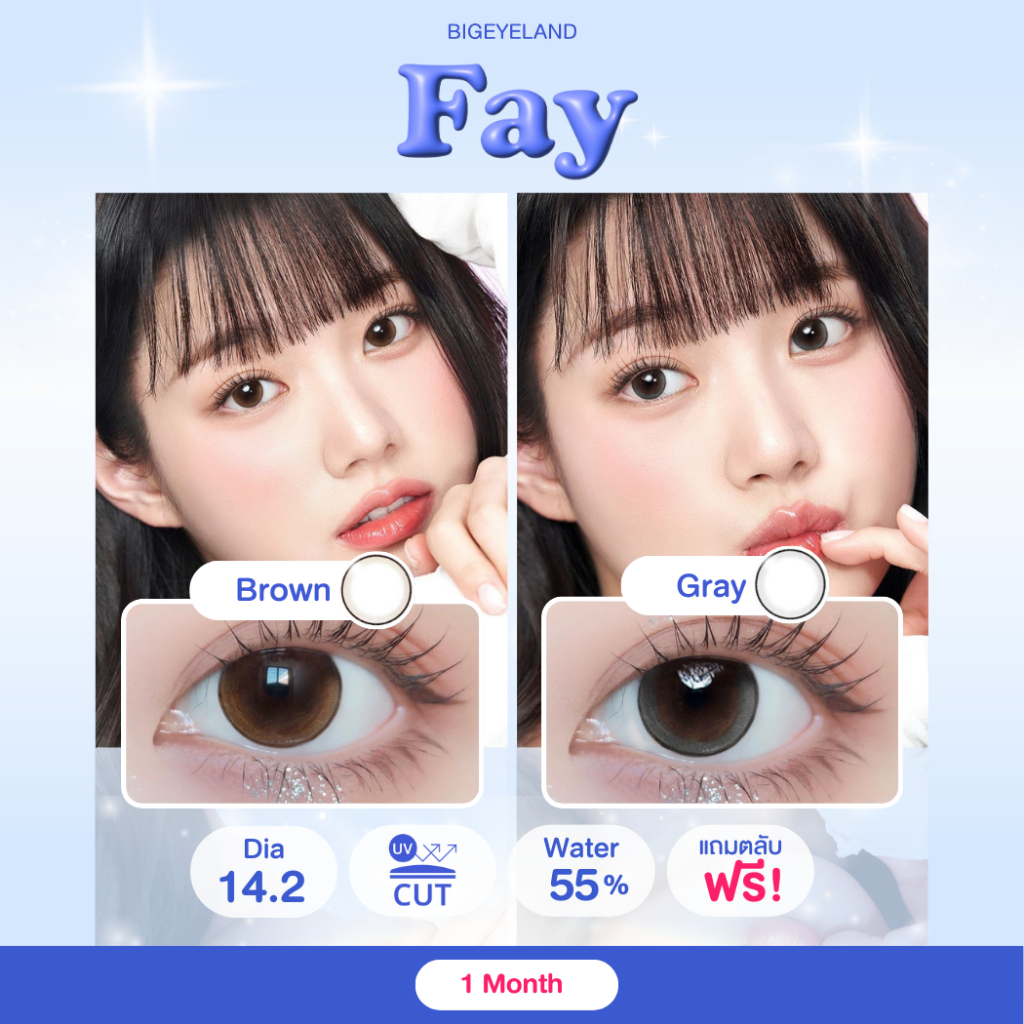 คอนแทคเลนส์ Fay Brown / Gray (Kitty Kawaii) ขนาดมินิ 💙 | Shopee Thailand