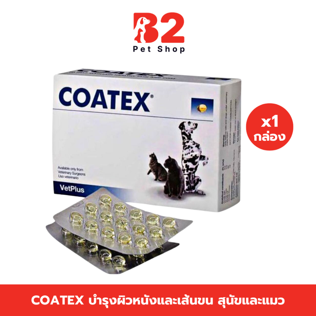 Coatex อาหารเสริม บำรุงผิวหนังและเส้นขน แบบเม็ด สำหรับสุนัขและแมวทุกสาย ...