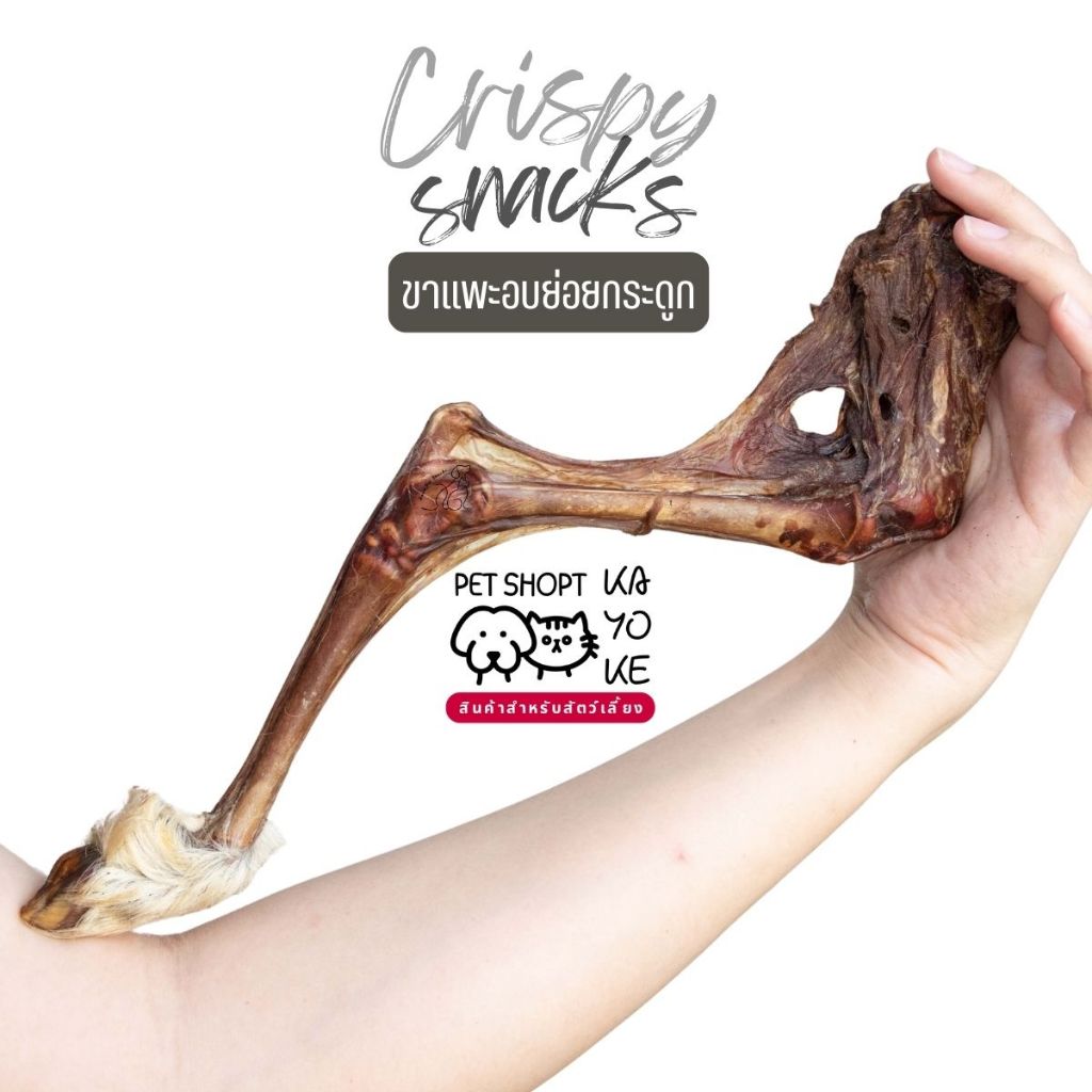 KAYOKE PET ขนมสำหรับสัตว์เลี้ยง ขาแพะอบแห้ง อบย่อยกระดูก | Shopee Thailand