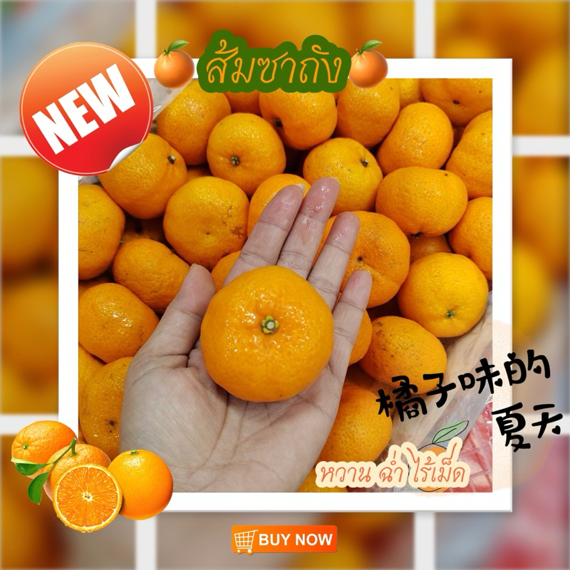 ส้มซาถัง ตะกร้า ตราปลาคู่ (5kg.) | Shopee Thailand