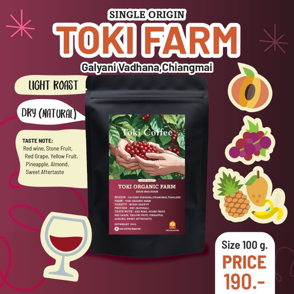 เมล็ดกาแฟคั่วอ่อน Toki Dry Process Toki Organic Farm | Shopee Thailand