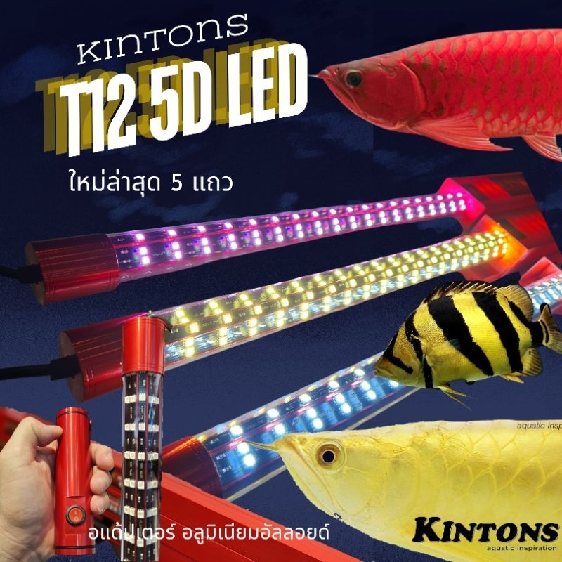 T12 LED 5D Kintons หลอดไฟ 5 แถว ใหม่ล่าสุด เทคโนโลยีจาก สหรัฐอเมริกา ...