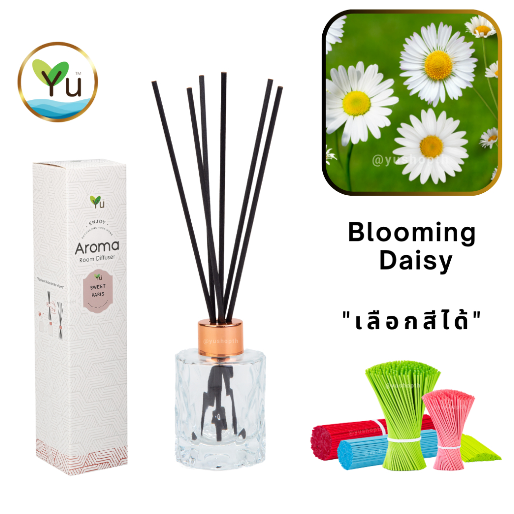 🌟กลิ่น Blooming Daisy | Room Diffuser ก้านไม้หอม : กลิ่นคล้าย Daisy Eau De Toilette ของ Marco ...
