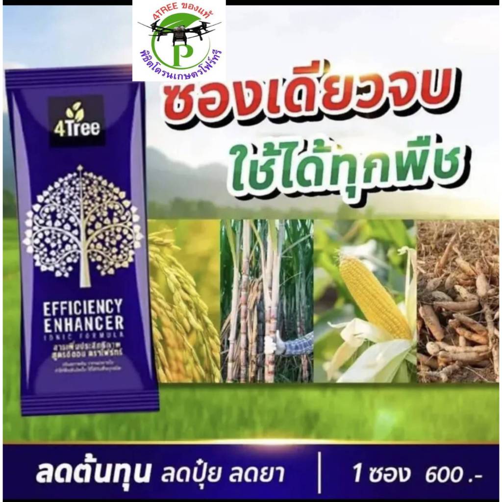 4Tree (โฟร์ ทรี) 1 ซอง ใช้ได้ 15-20 ไร่ สารเสริมประสิทธิภาพ พืชโตเร็ว ใช้ได้กับพืชทุกชนิด จาก ...