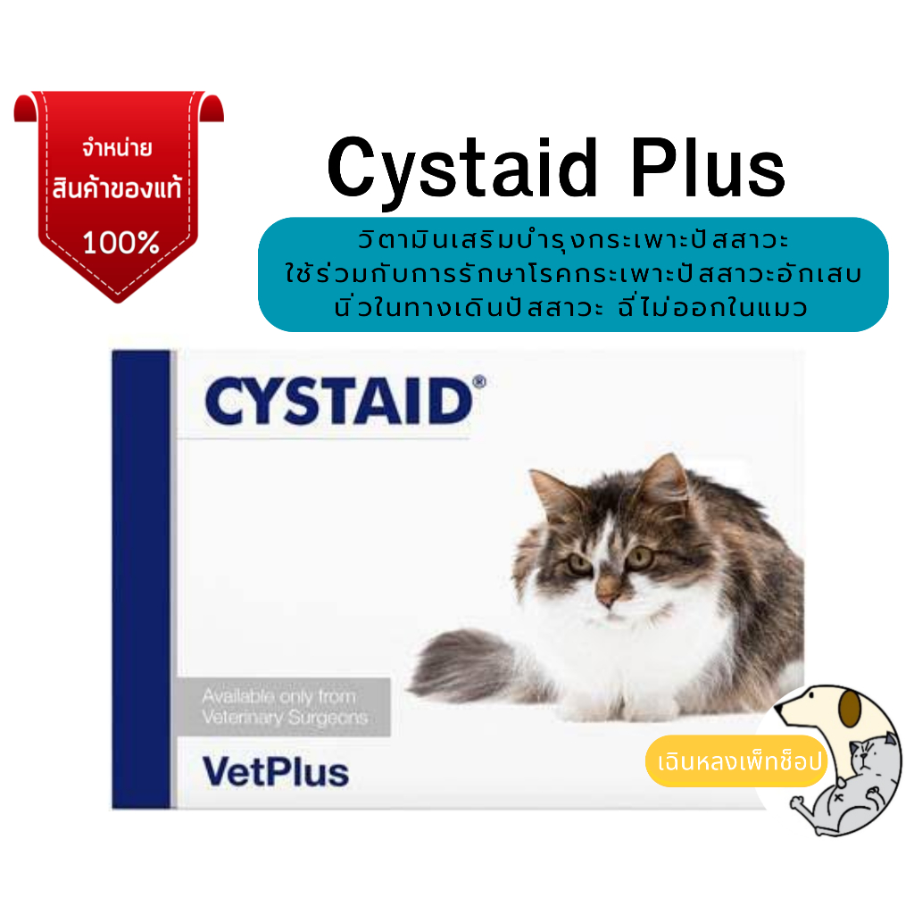 Cystaid plus [แพคเกจใหม่ล่าสุด แท้100%] วิตามินเสริมบำรุงกระเพาะปัสสาวะ ...