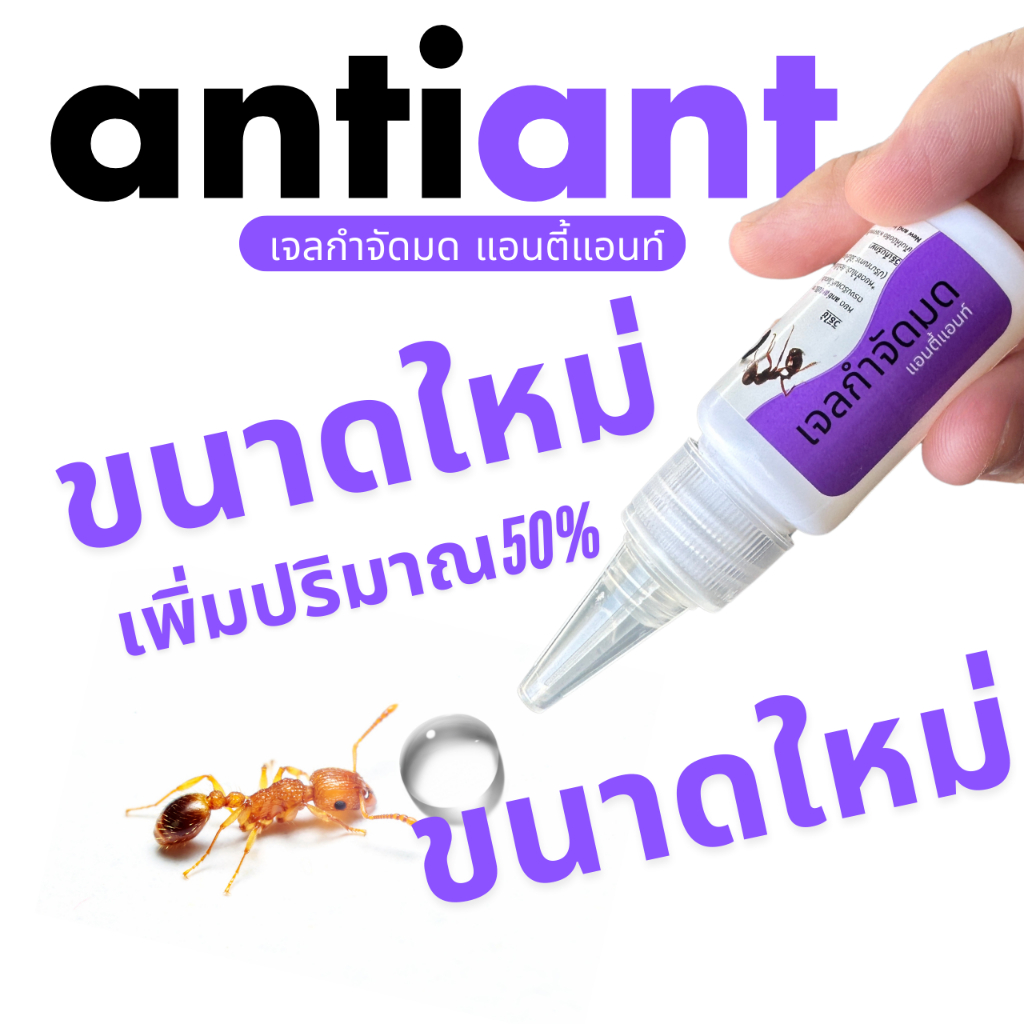 เจลกำจัดมด antiant ขนาด 30 กรัม [สุดคุ้มปริมาณเพิ่มขึ้น50%] | Shopee Thailand