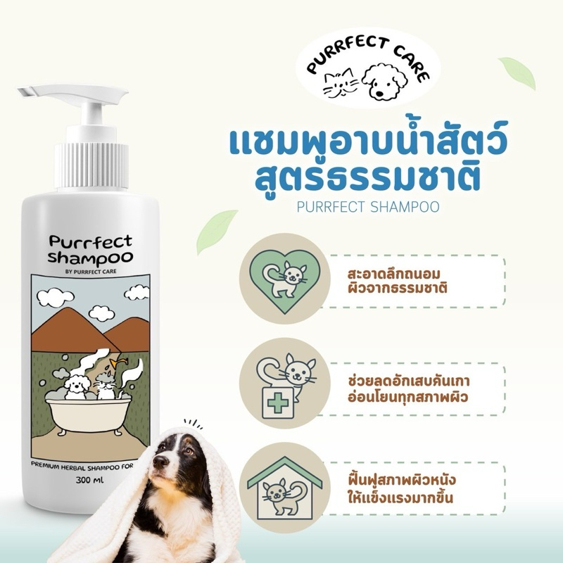 Purrfect Shampoo by Purrfect Care แชมพูสัตว์เลี้ยงธรรมชาติไร้สารเคมี เพ ...