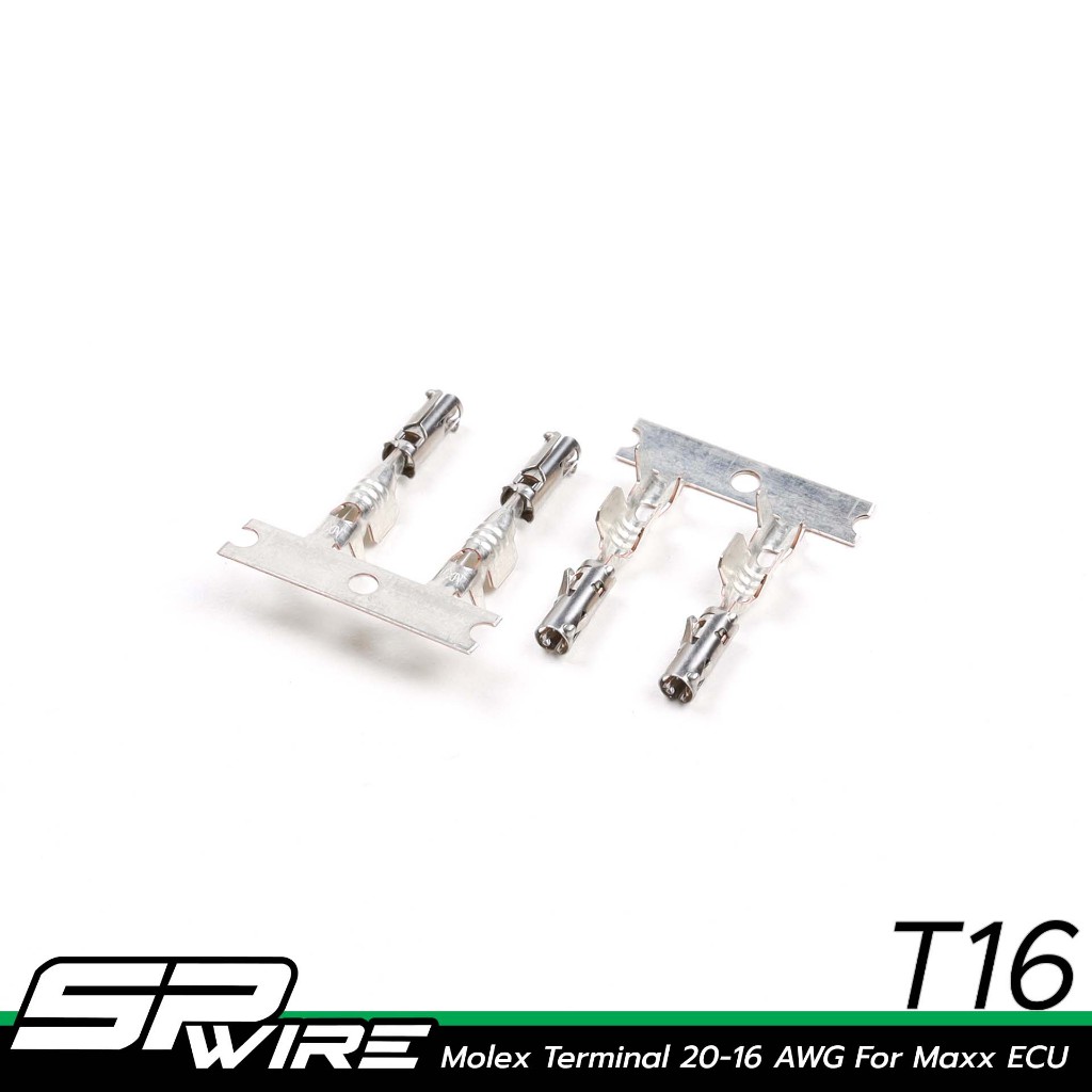 T16 #Molex Terminal 24-20 AWG For Maxx ECU-Spwire motorsportwiring ...