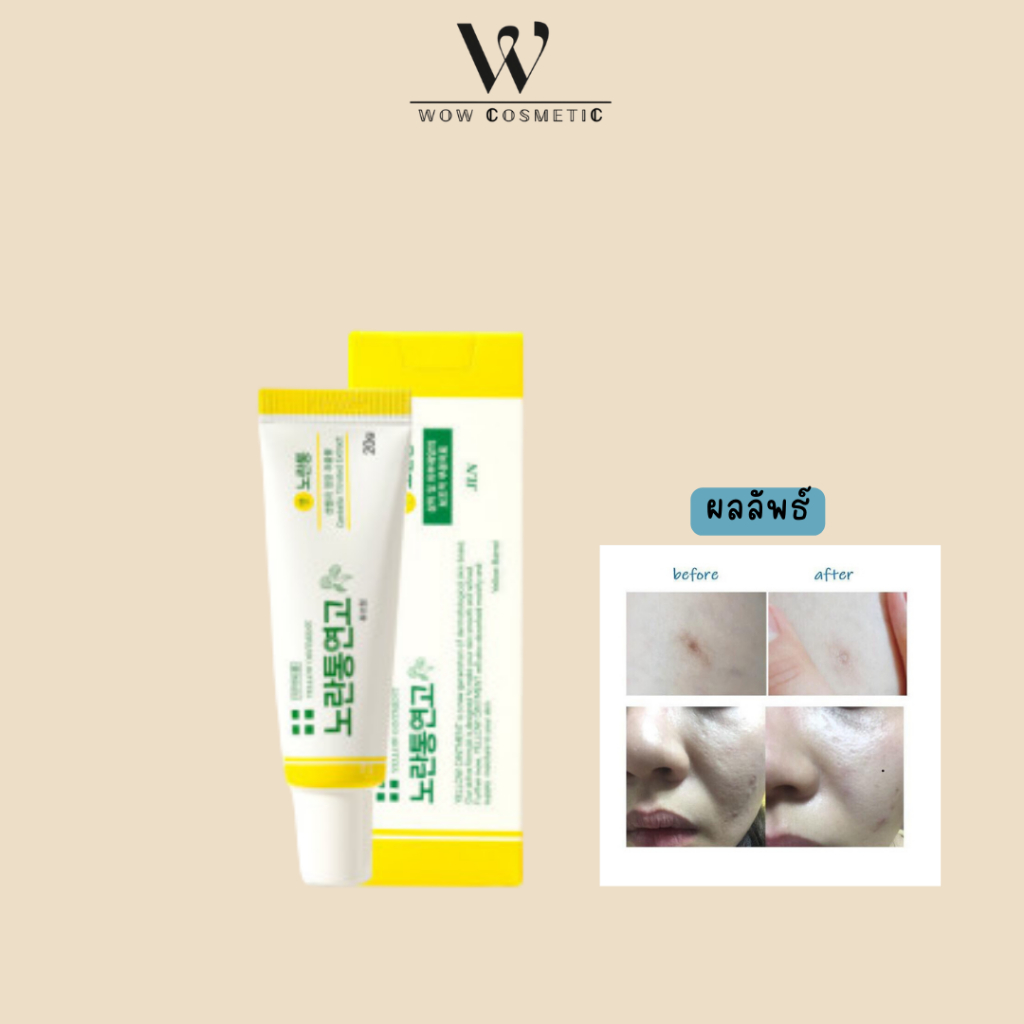 ครีมสีเหลืองเกาหลี YELLOW OINTMENT Centella Titrated Extract 20g 1หลอด ...
