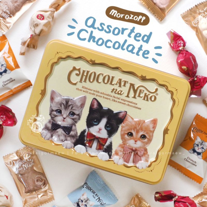 🔆พร้อมส่ง🔆Made in Japan🇯🇵 ช็อคโกแล็ตรวมรส Morozoff : Chocolat na Neko ...