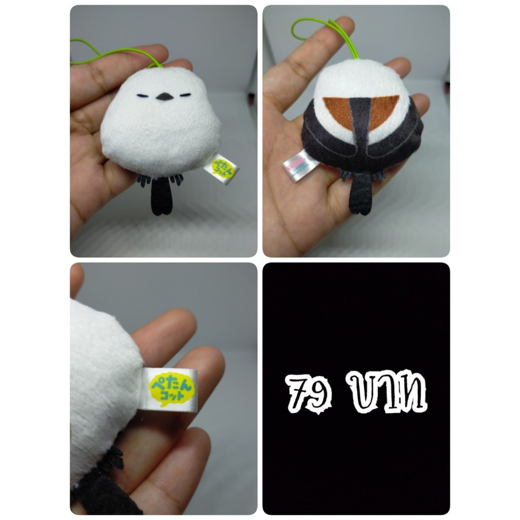 Shima Enaga#Shimaenaga Bird#ชิมาเอนากะ#นก#ภูติหิมะตัวจิ๋ว#Amuse#อมูส ...