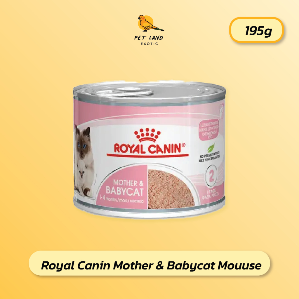 Royal Canin Cat โรยัล คานิน อาหารแม่แมว และลูกแมว ชนิดเปียก (MOTHER & BABYCAT MOUSSE) 195g x 1 ...