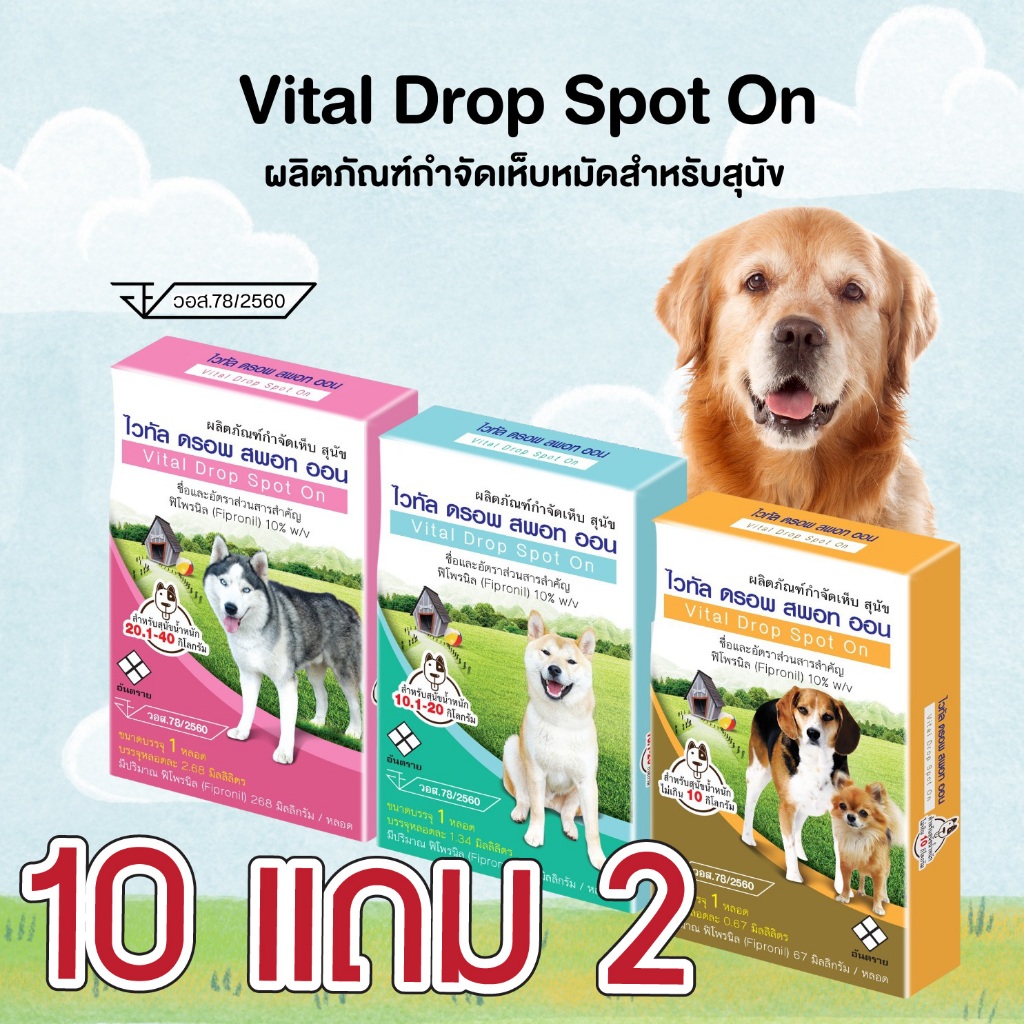 ผลิตภัณฑ์กำจัดเห็บ 10แถม2 ยาหยดสุนัข Vital Drop Spot On 1หลอด ทะเบียน ...