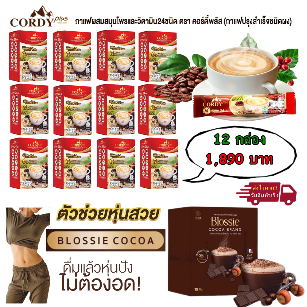 กาแฟคอดี้ Cordy Plus Coffee 12 กล่อง ผสมสมุนไพร และวิตามิน 24 ชนิด แถม ...