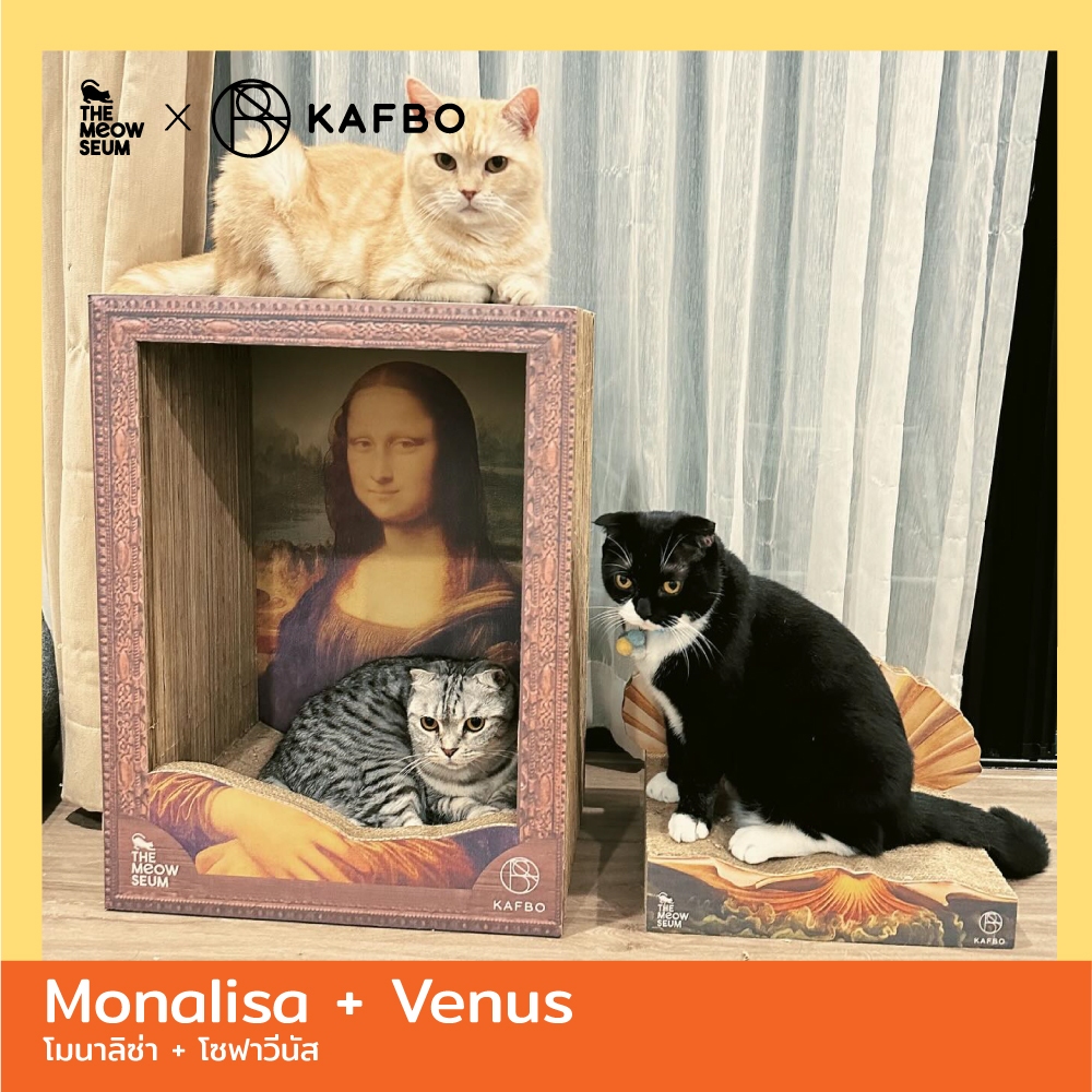 The Meowseum x KAFBO Cat scratcher Monalisa + Venus โมนาลิซ่า + โซฟาหอยวีนัส ที่ลับเล็บแมว ที่ฝน ...