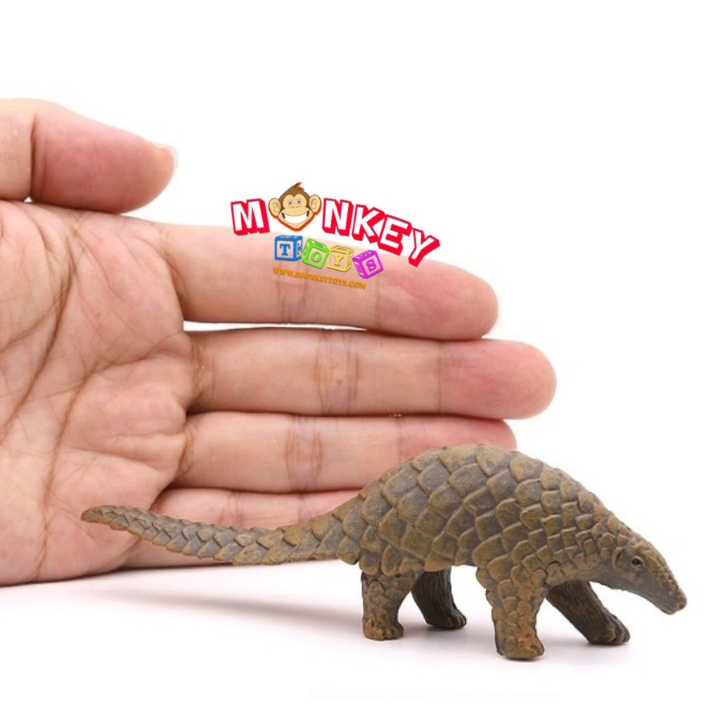 Monkey Toys - โมเดลสัตว์ Armadillo Pangolin ตัวนิ่ม เอเชีย ขนาด 12.00 ...