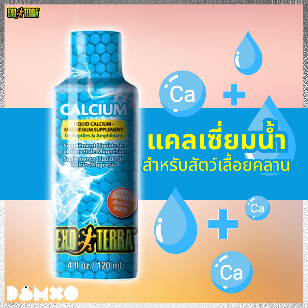 ส่งด่วน! Exo Terra Liquid Calcium 120ml อาหารเสริมแคลเซียมชนิดน้ำจาก ...